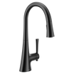 Kurv One-Handle High Arc Pulldown Kitchen Faucet – Moen